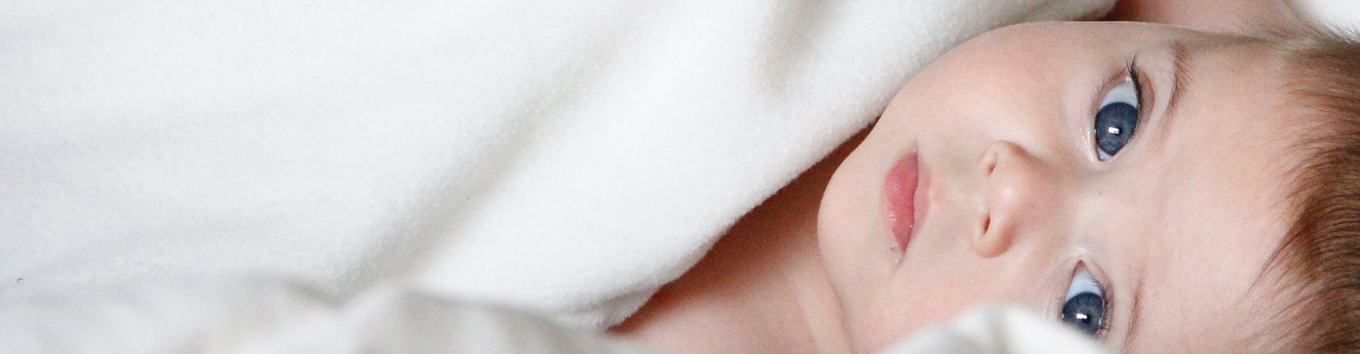 Fecundación In Vitro (FIV) - Segrelles IVF